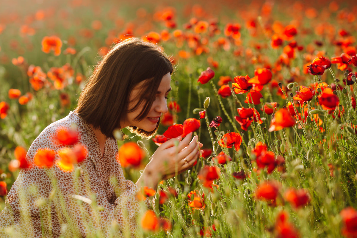 Best Supplements to Boost Your Immune System – MD Logic Health®