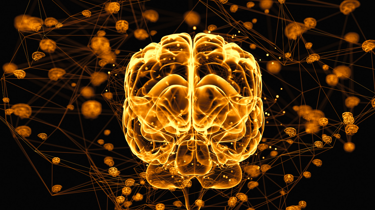 Boost Cognitive Function in Perimenopause and Menopause – MD Logic Health®