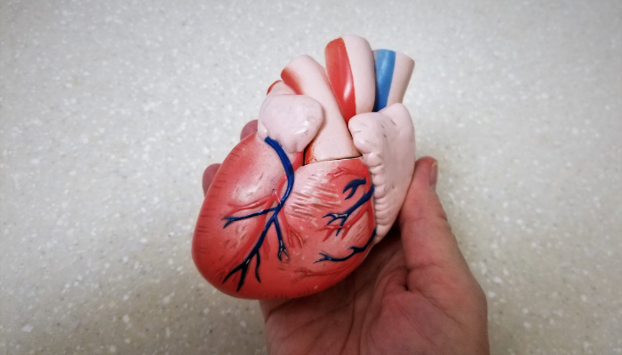 Reduce Stress for a Healthier Heart – MD Logic Health®