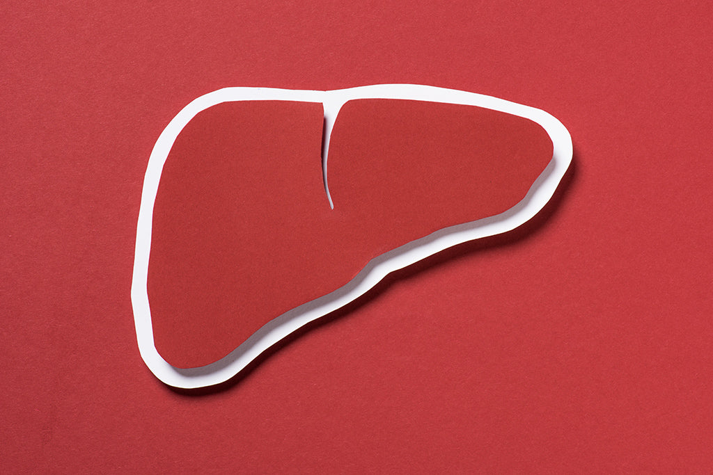 Liver Health – MD Logic Health®
